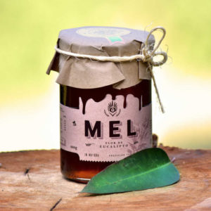 O que é mel Puro? Faça o teste em casa para identificar se é verdadeiro.