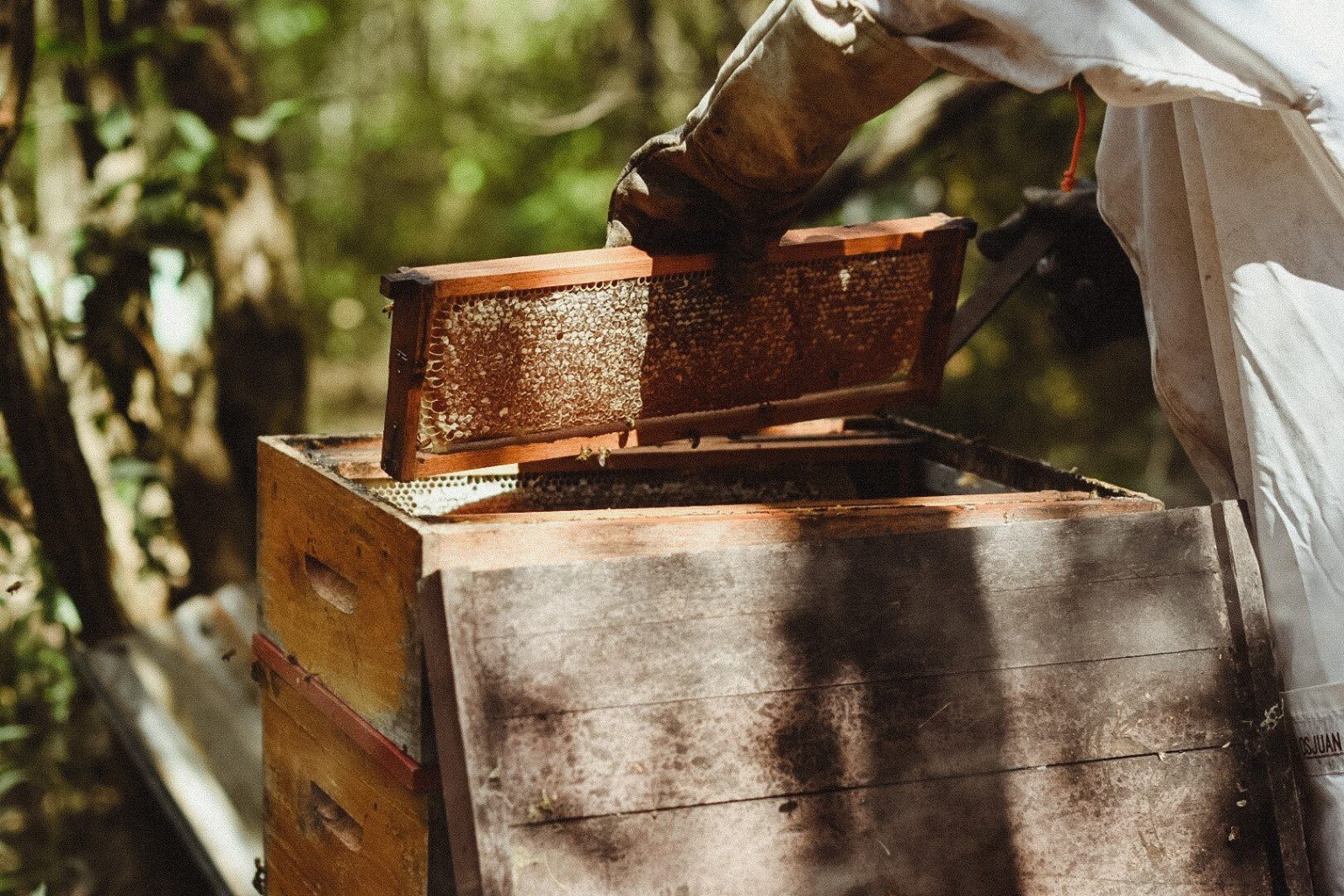 Tabela Nutricional do MEL – RDC nº 429/2020 • MEL.COM.BR - Site do Mel